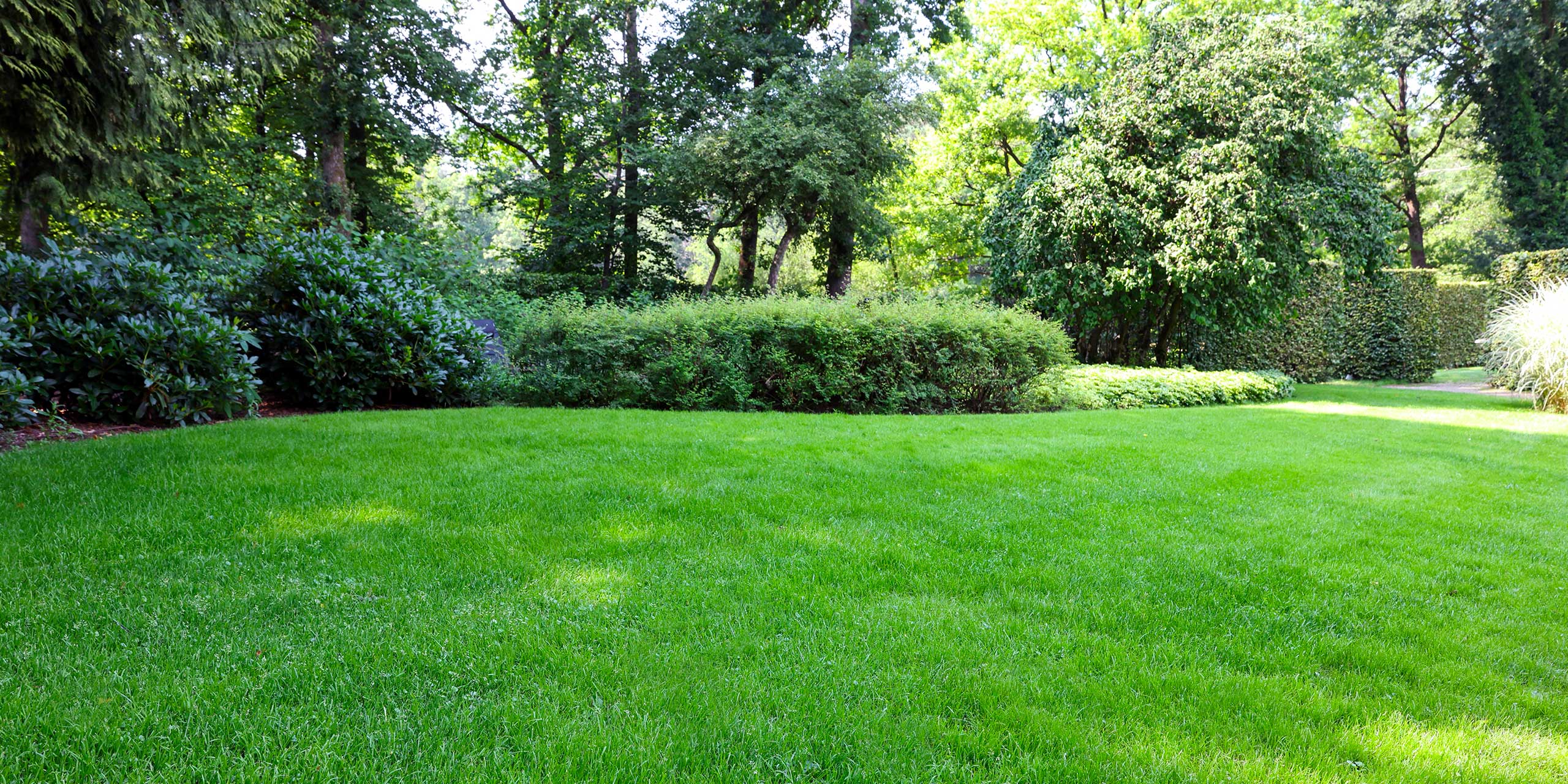 ACCUEIL - Le pousse vert