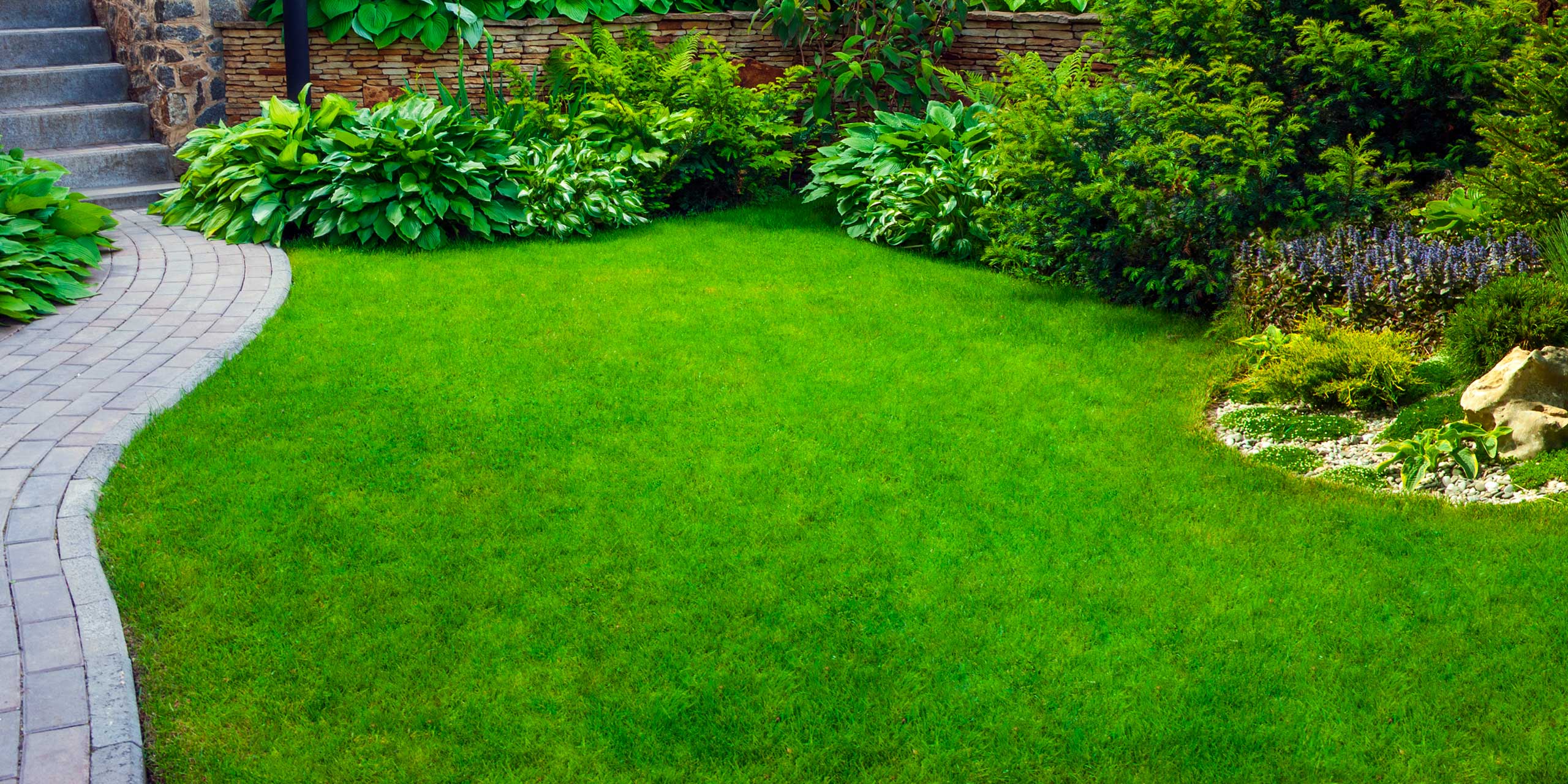 ACCUEIL - Le pousse vert